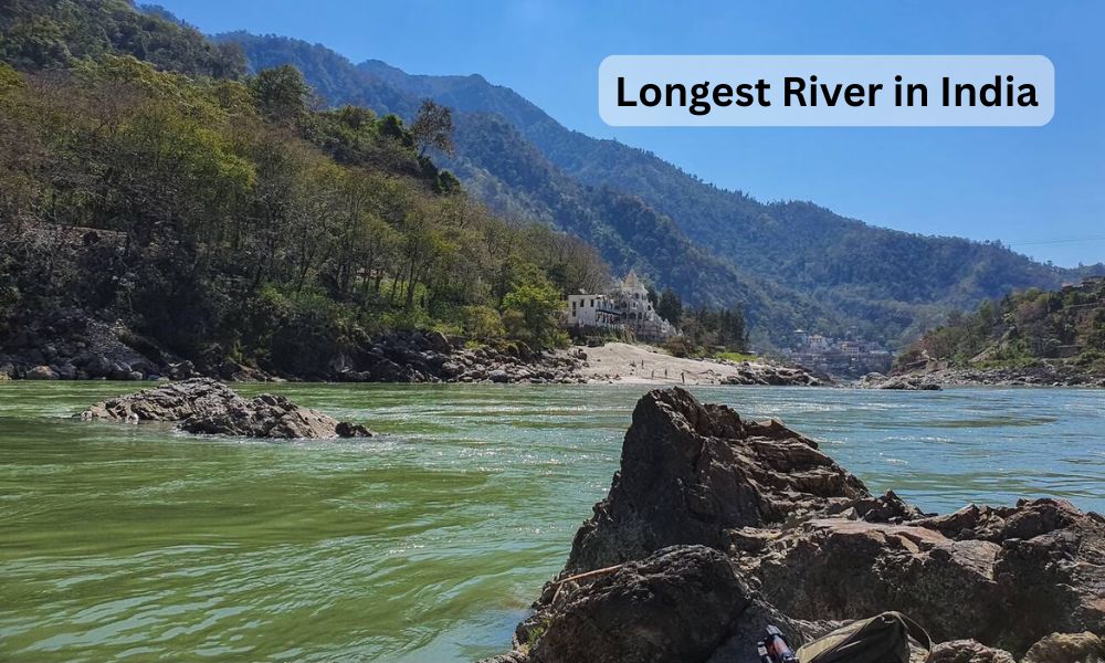 The Longest River in India: Exploring the Majestic Ganges