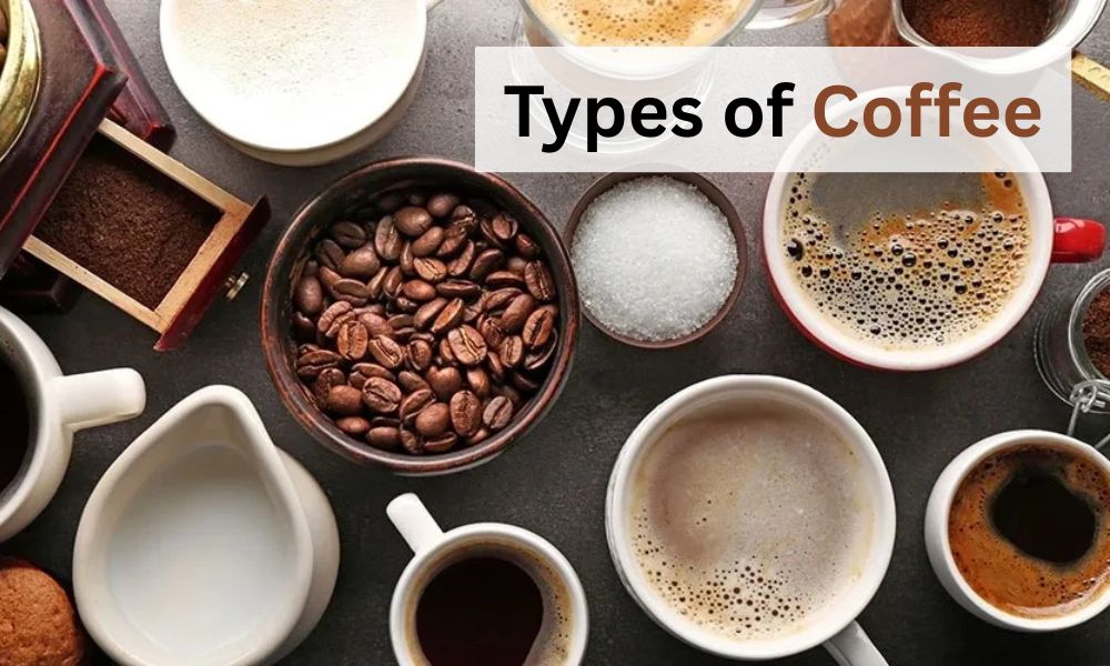 Types of Coffee: A Complete Guide to Popular Coffee Drinks